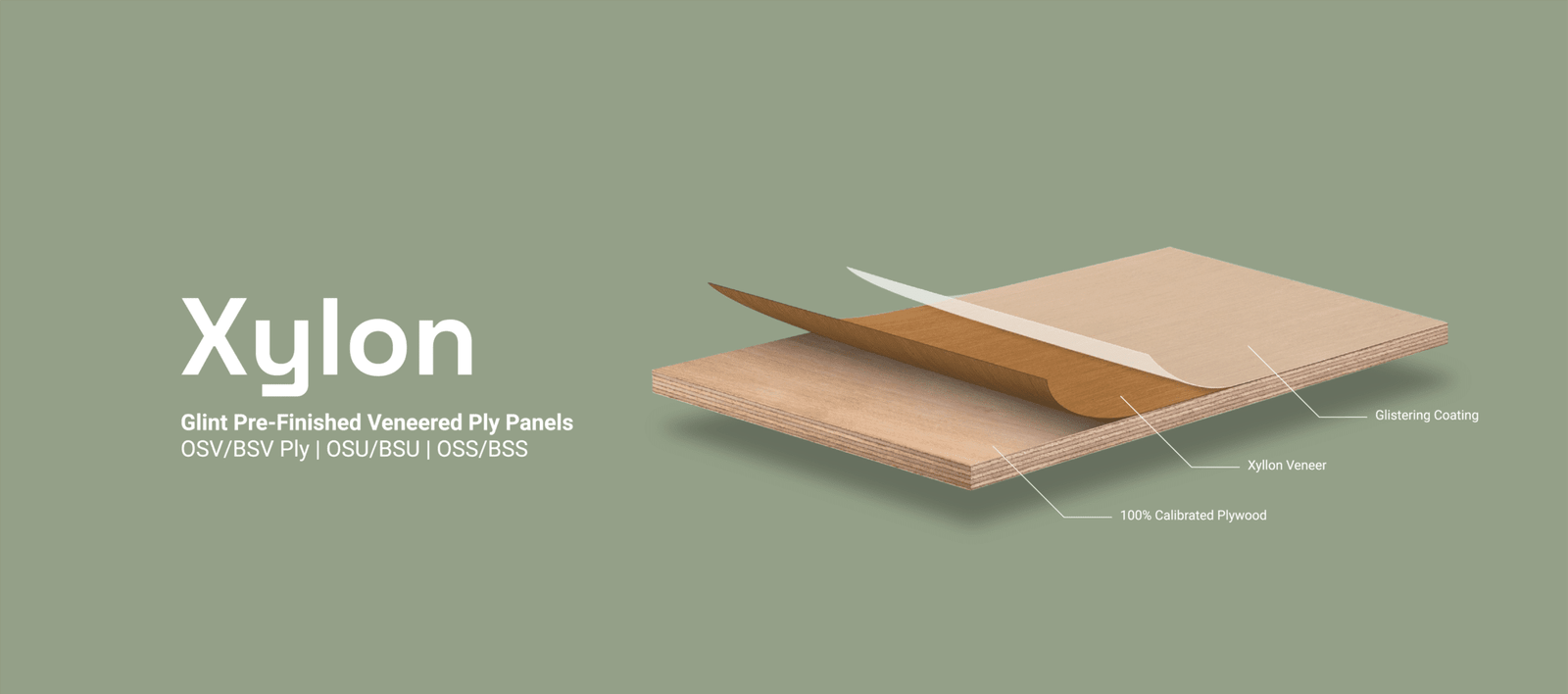 Xylon - Nipponply Industries pvt Ltd